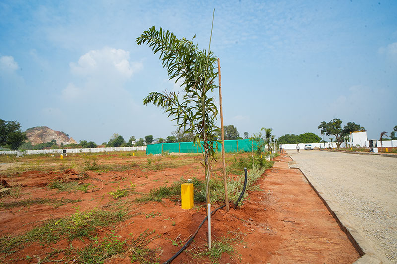 Surabhi Infra | Gallery | Urban Meadows | Urban Woods
